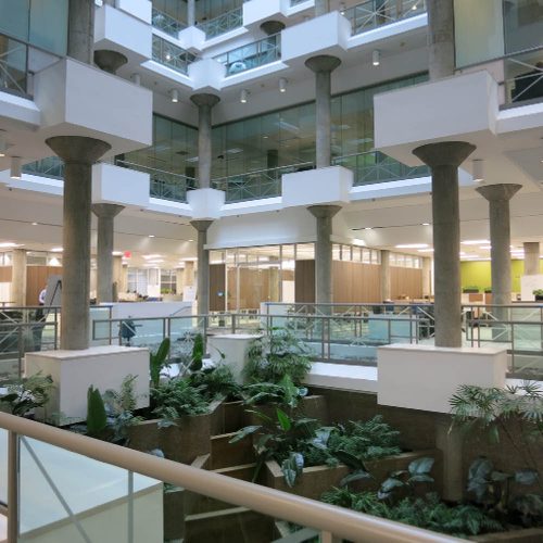 Restore Archives - Shrout Tate Wilson Consulting Engineers